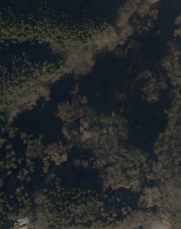 noto0111 Object Detection Model by noto