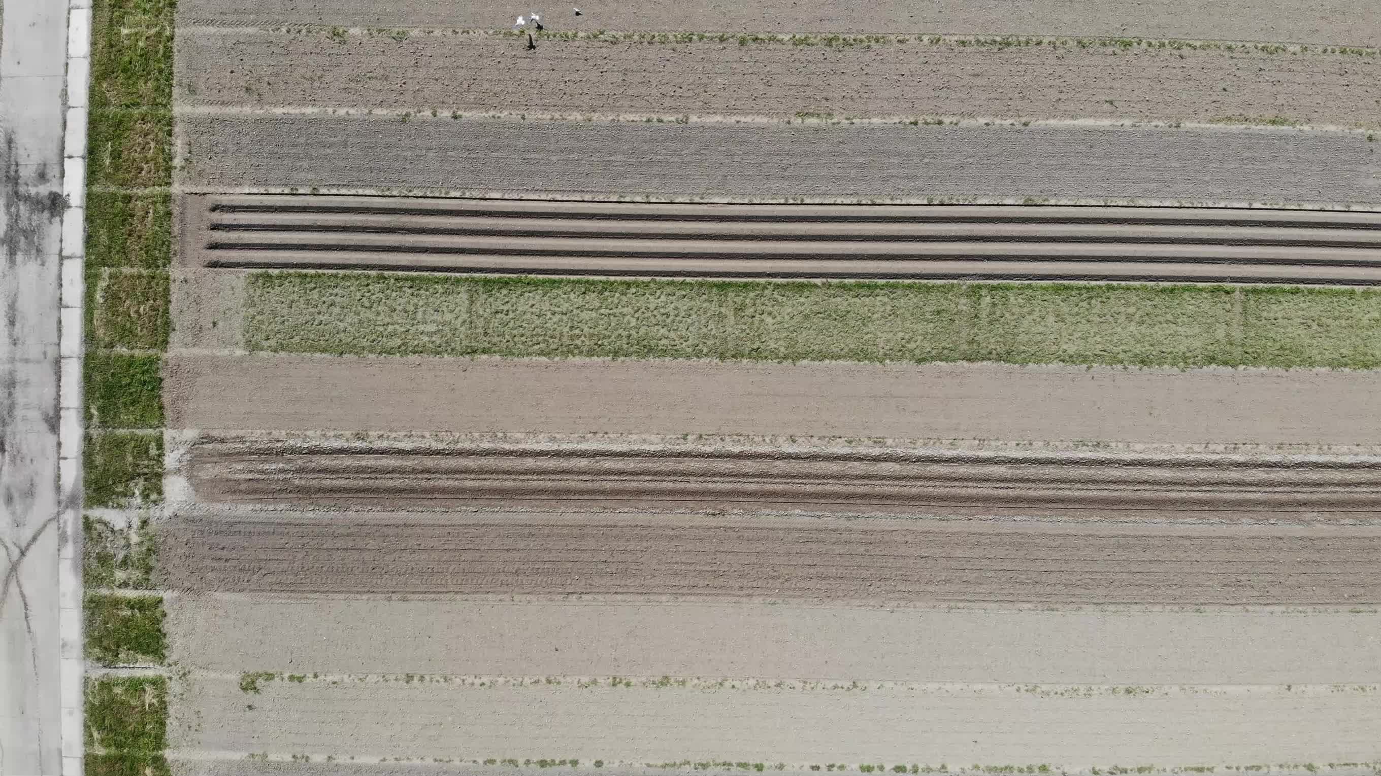 Bird Detection Object Detection Dataset And Pre Trained Model By Uavstrip Cropping