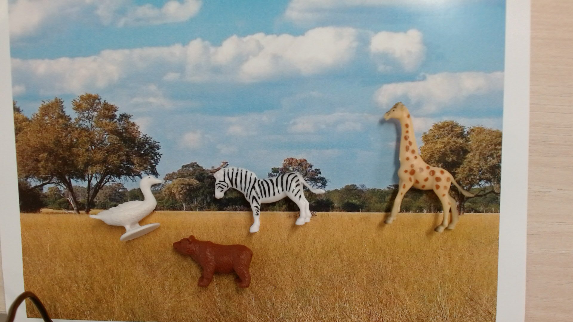 CPE (cpe-1dkde) - Roboflow Universe