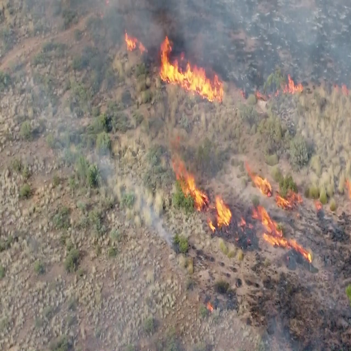 fire2 Object Detection Dataset by home