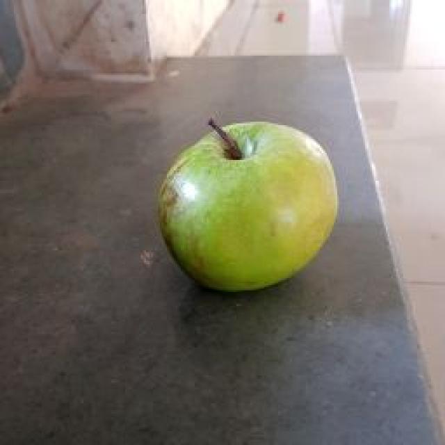 fruit_quality Object Detection Dataset by GCU