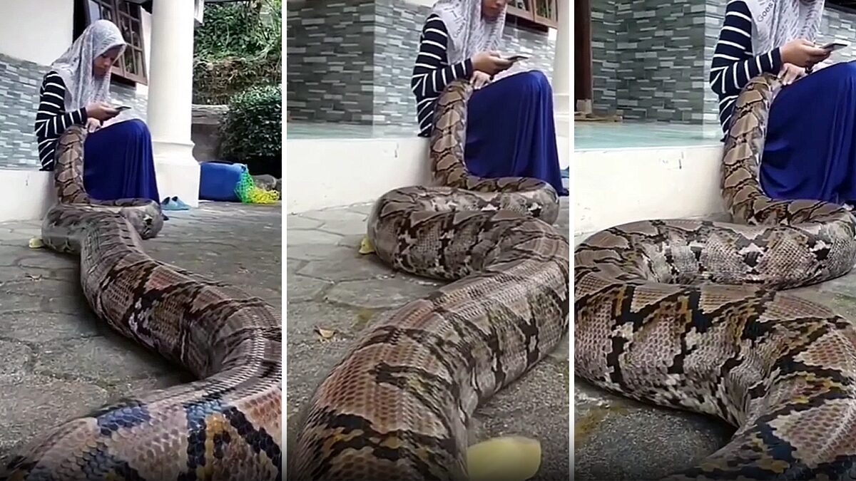 Preecha (preecha-9lfpv) - Roboflow Universe