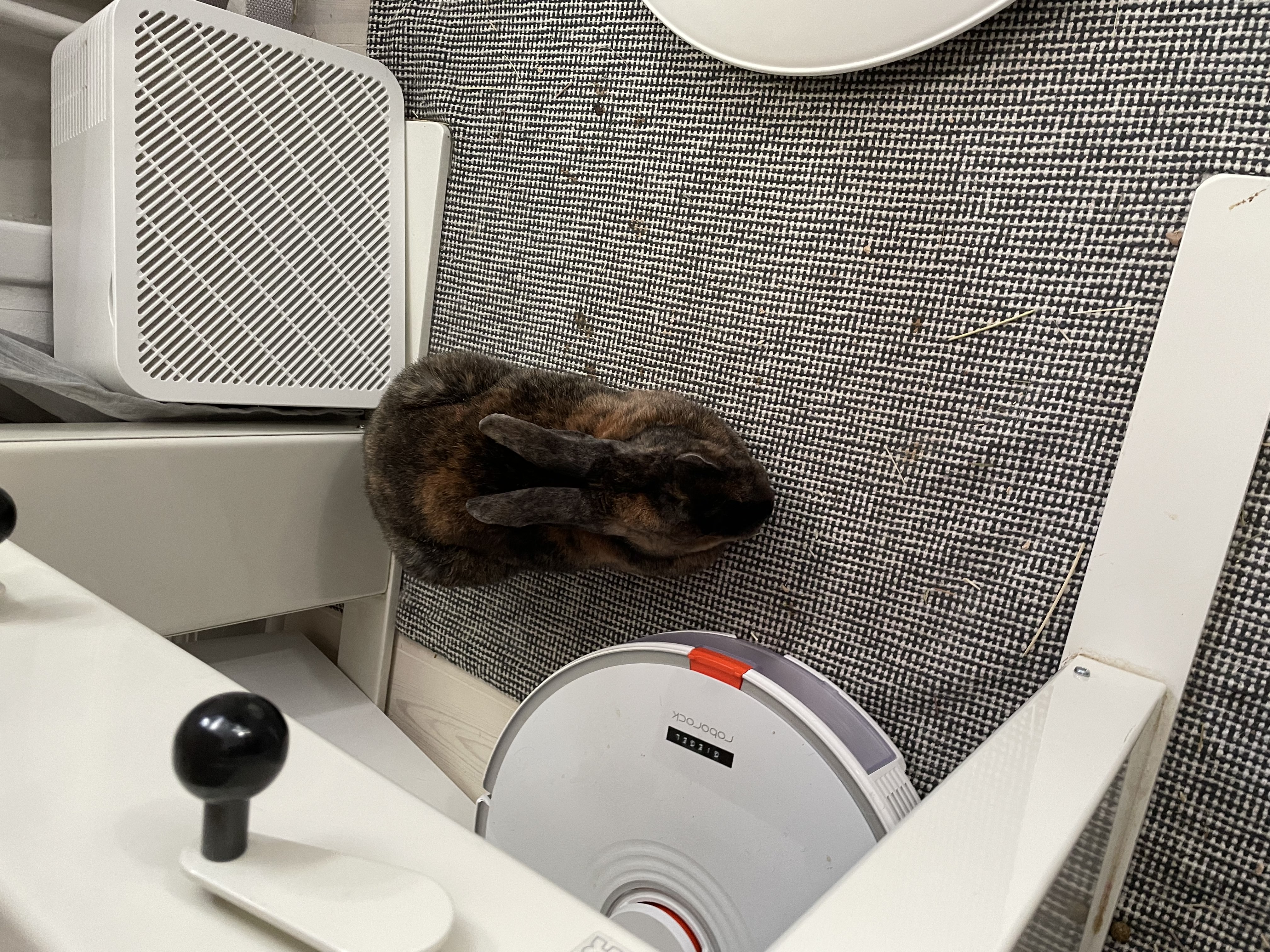 Bryh Object Detection Dataset by Buns
