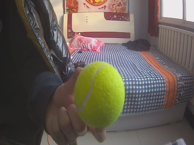 ball_det Object Detection Model by balldet