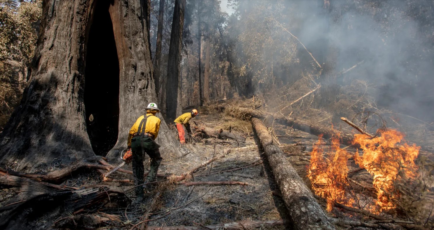 Fire dedect Object Detection Dataset and Pre-Trained Model by Istanbul ...