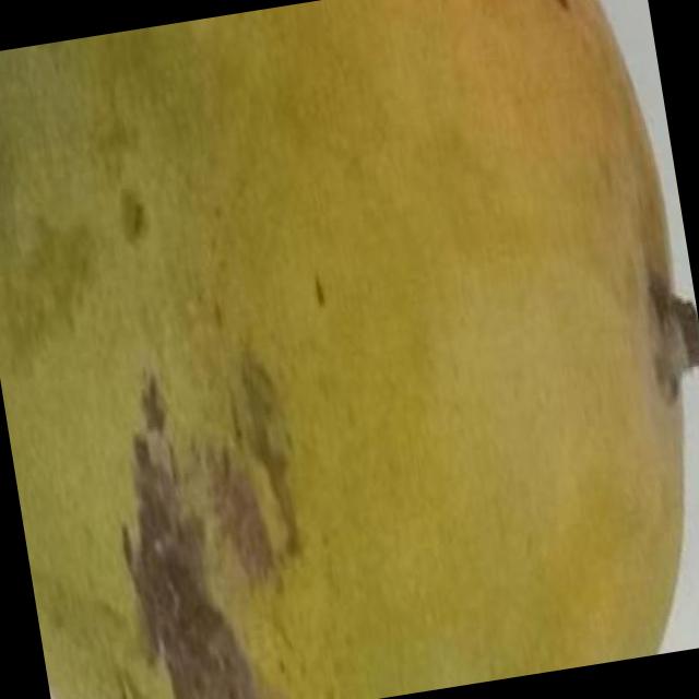 Mango Detection System Yolov8 Classification Dataset And Pre Trained