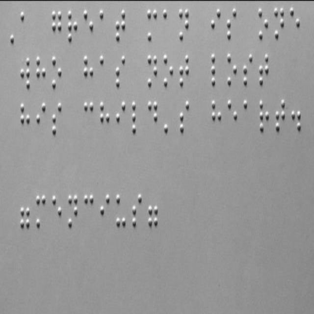 Braille train dataset Object Detection Dataset by sinjeon