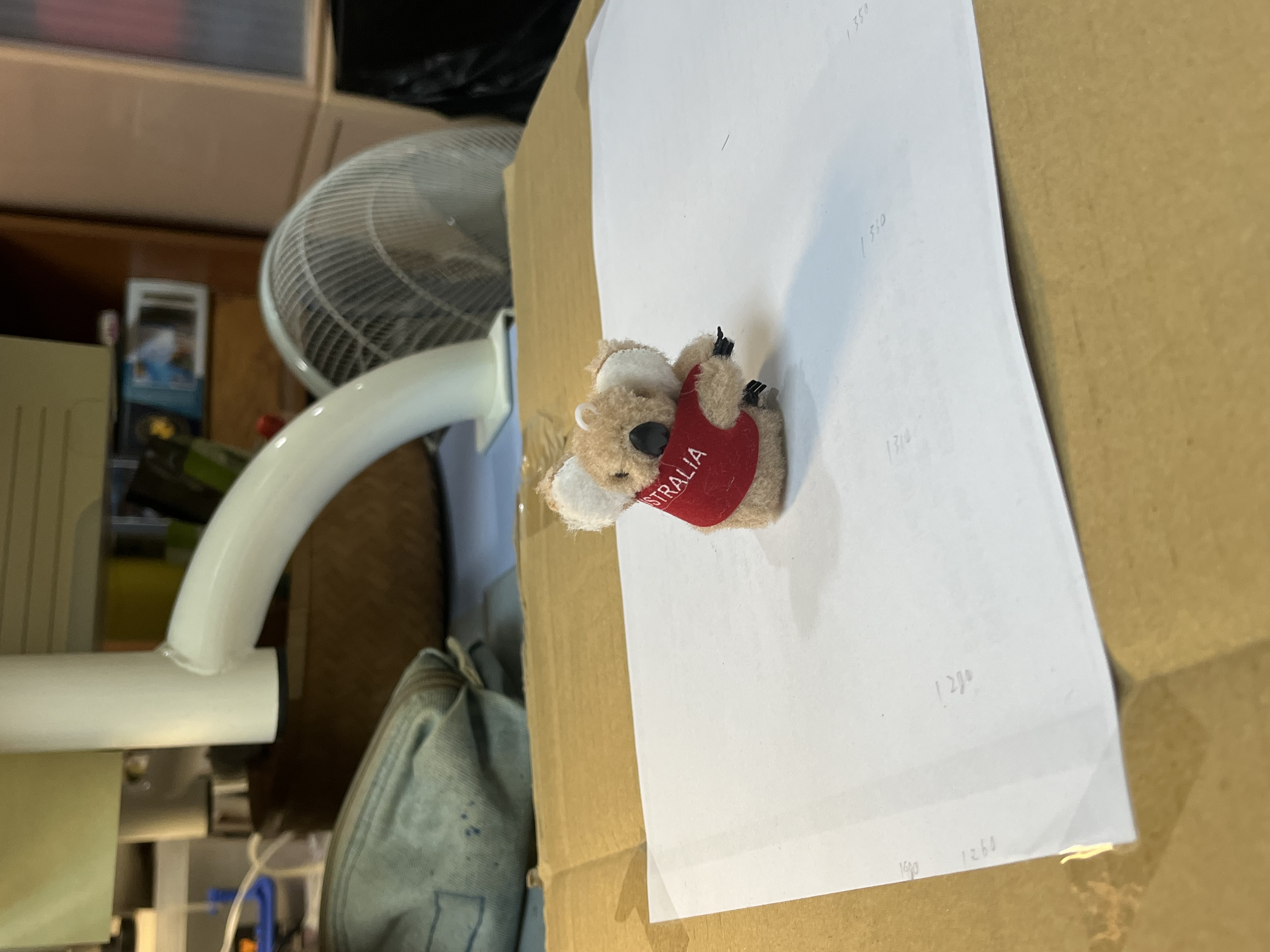 Koala Object Detection Model By Ggman