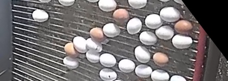 egg_v2 Object Detection Model by Desenvolvimento