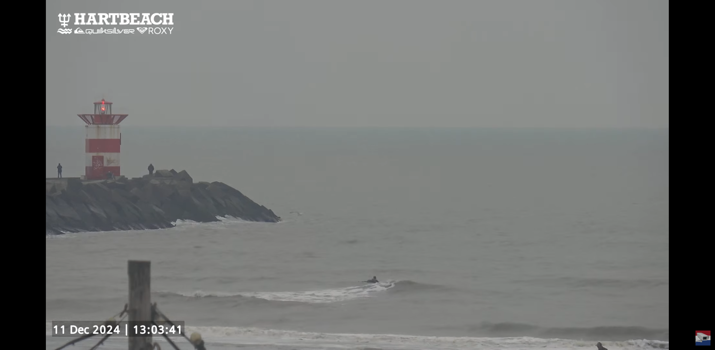 Surfer Labeling Object Detection Model By Surferproject