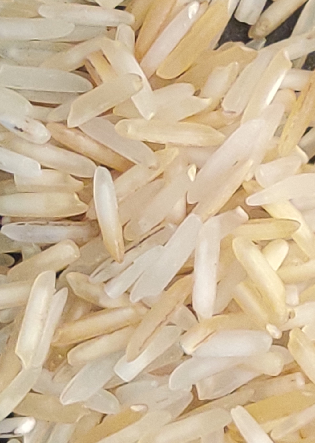 Rice Classification Dataset And Pre Trained Model By Rice Classification 