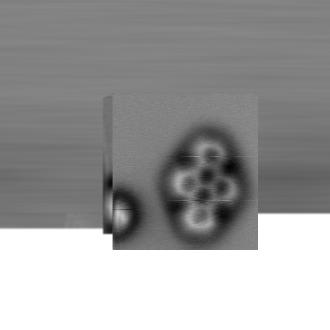 Individual rings Instance Segmentation Dataset by Fellowship