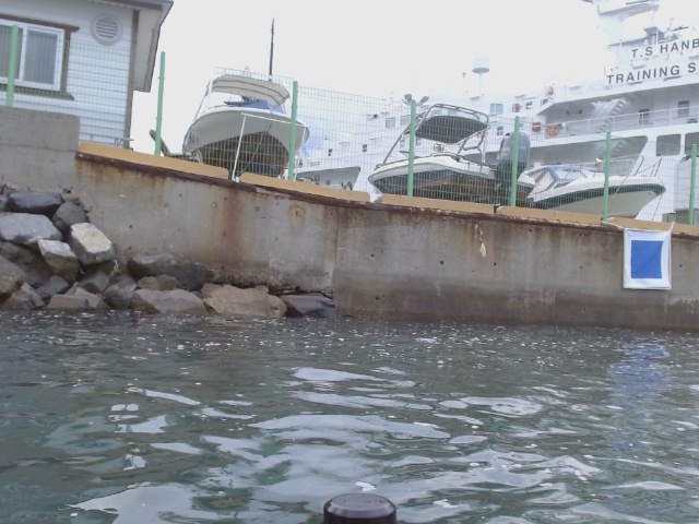 Yolov5 Test 2 Object Detection Dataset By Yeeun Lim