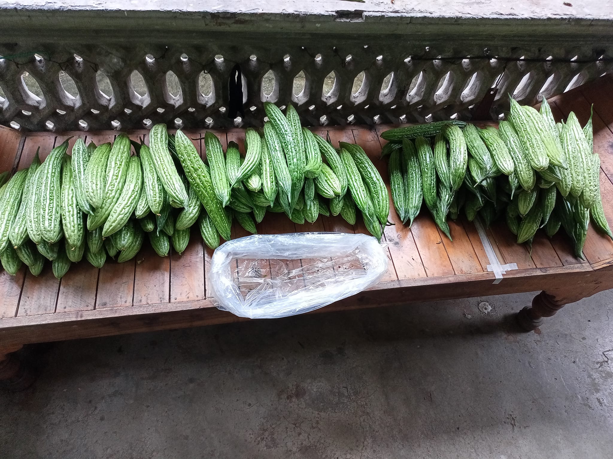 try Object Detection Dataset by v1