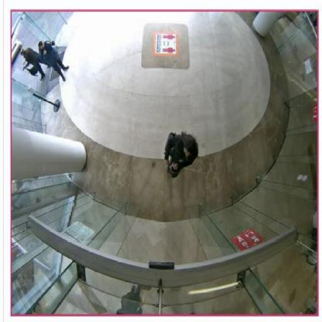 Head Counting Object Detection Model By Walailak