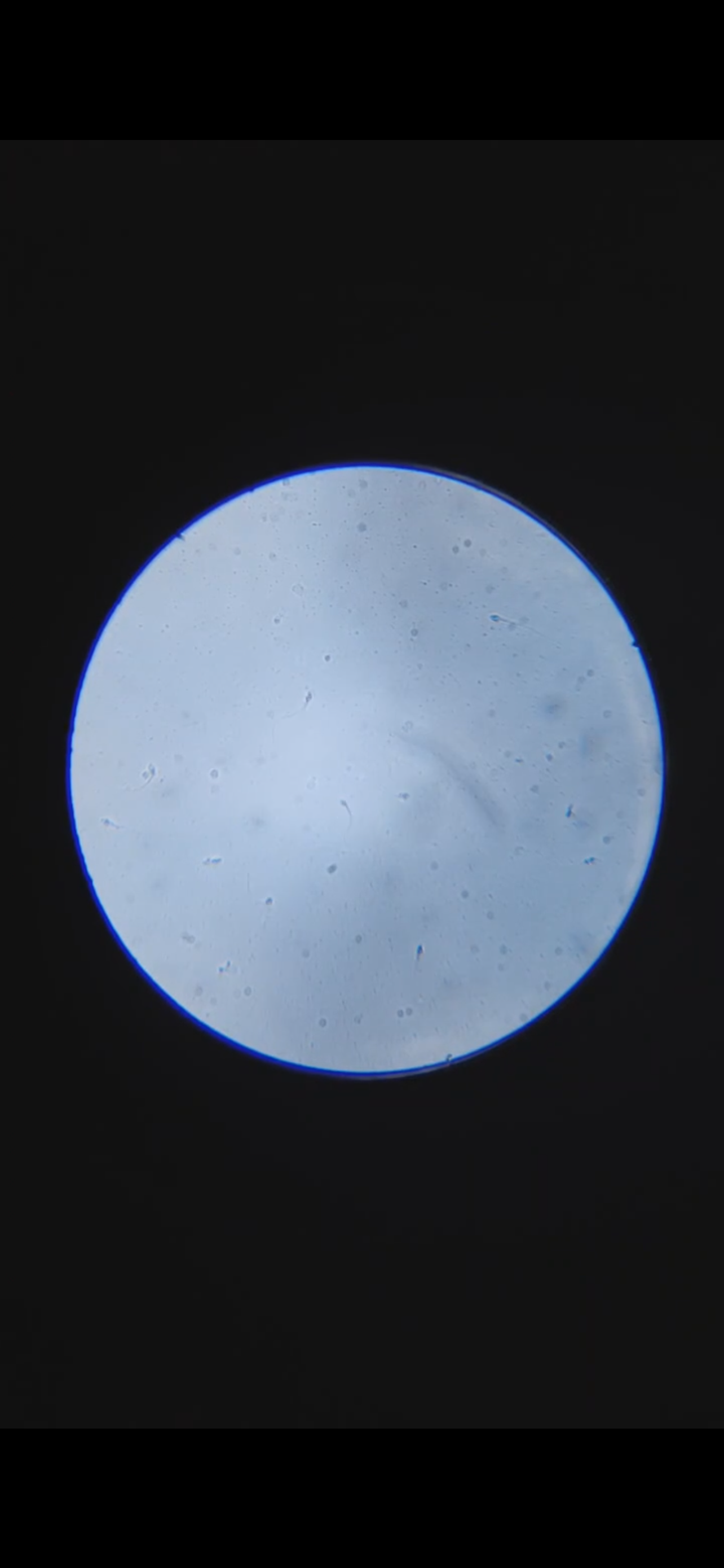 Rwork - Roboflow Universe