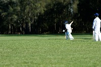 Cricket Ball Detection Model (cricket-ball-detection-model-kqtro ...