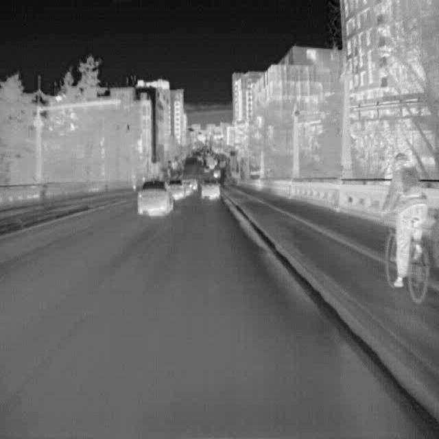 Capstone Thermal - Sunny Object Detection Dataset by Capstone Thermal