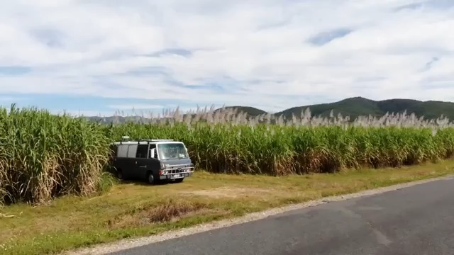 Sugarcane Object Detection Dataset By Cotton