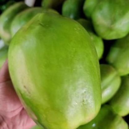 Vegetables and Fruits Object Detection Dataset and Pre-Trained Model by Capstone