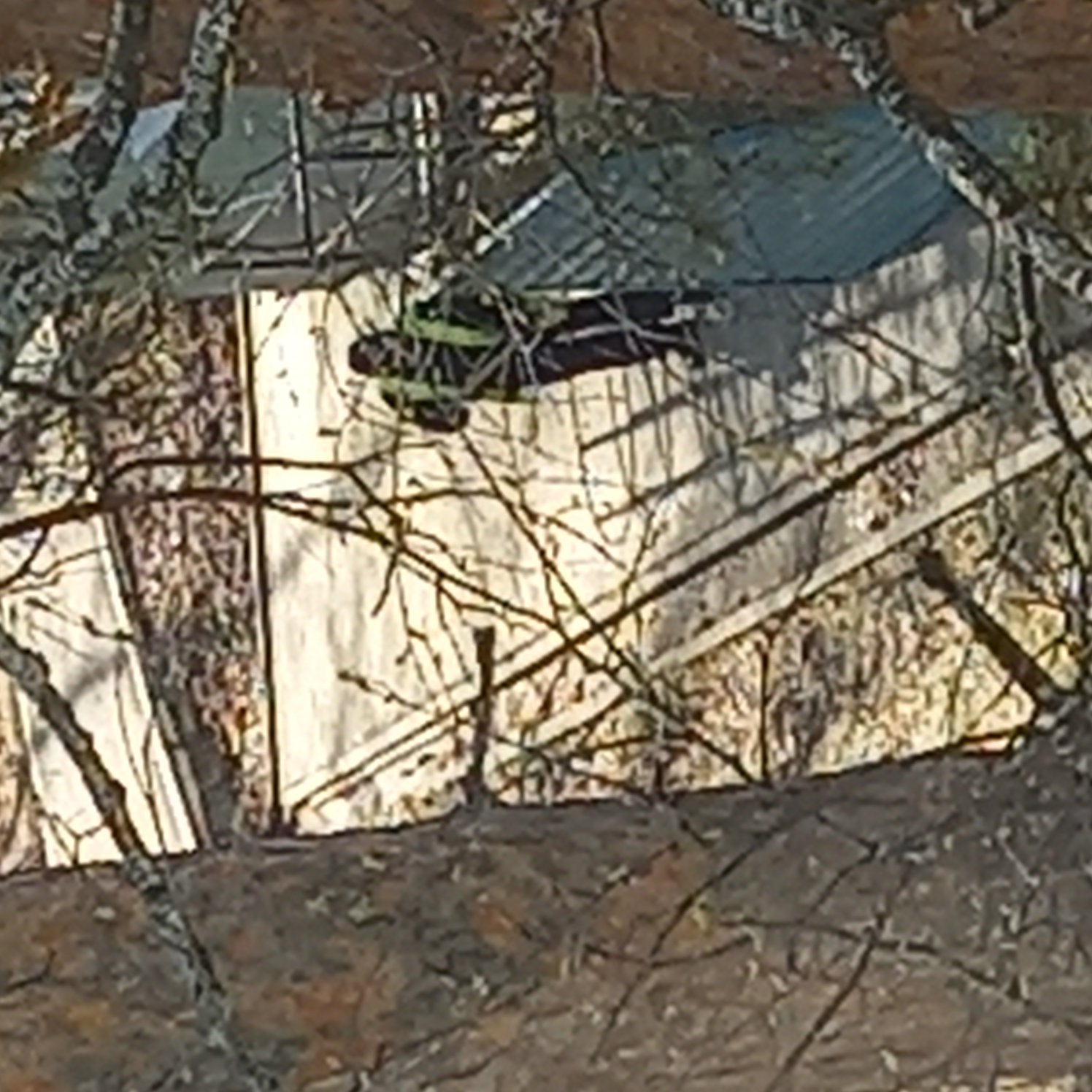 dataset_person Object Detection Model by AI