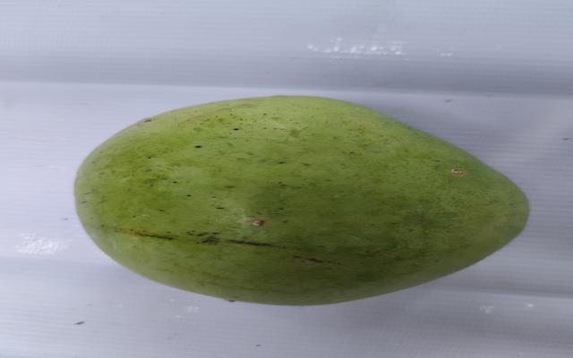 joshua jay javier - Roboflow Universe