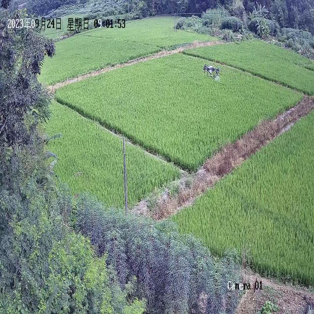 Precision Agriculture Semantic Segmentation Dataset And Pre Trained Model By Cvml