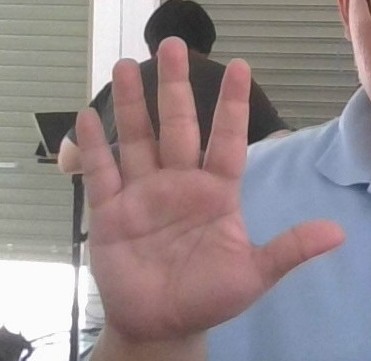 How to Use the Hand Object Detection API