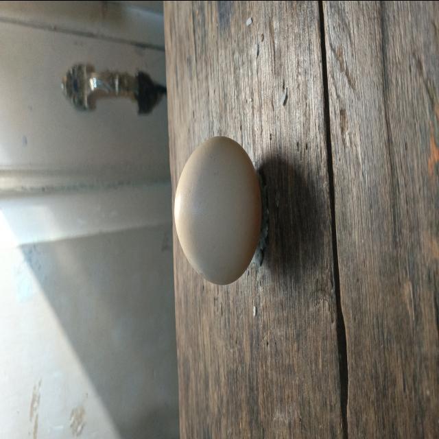 Ducker Final Object Detection Dataset And Pre Trained Model By The Egg