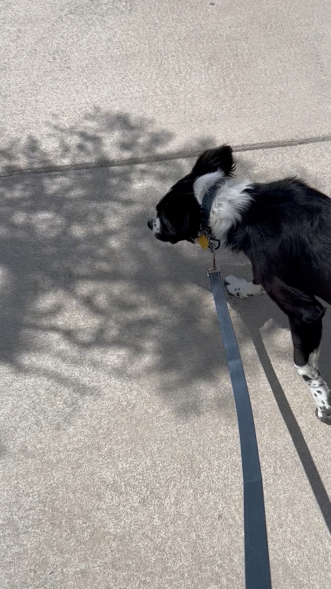 Satelite Imagery Detection Object Detection Dataset And Pre Trained