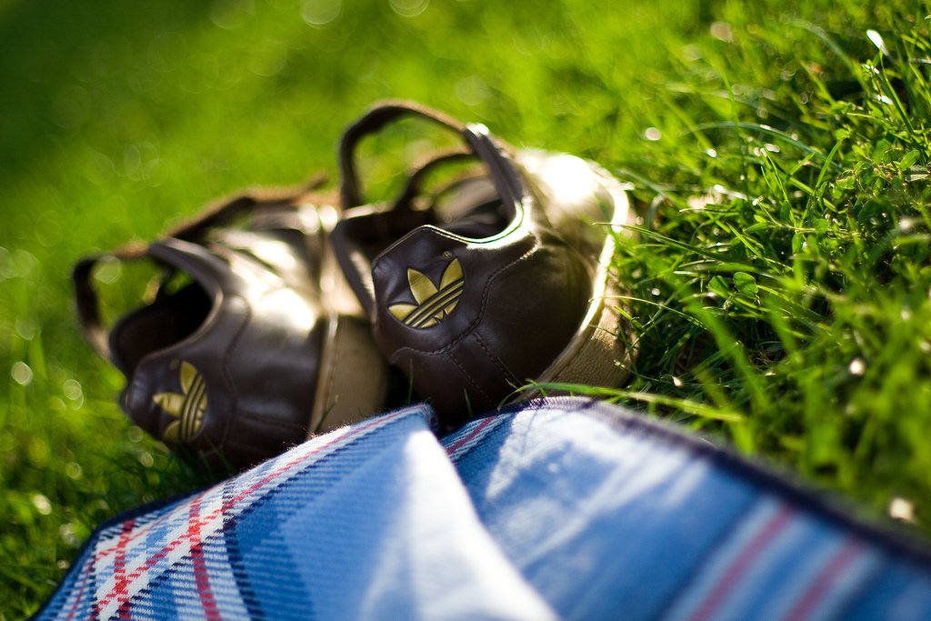 yolov5_logo_detection Object Detection Dataset and Pre-Trained Model by ...