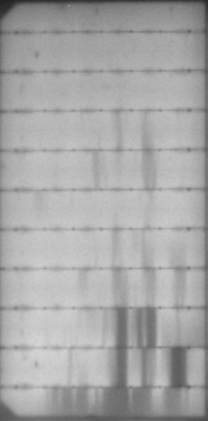 Solar Cell Defect Object Detection Dataset By Object Detection 7030