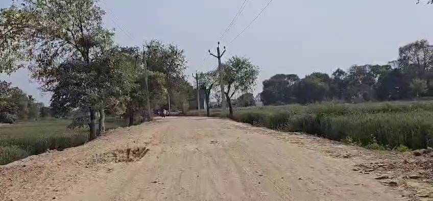 Road-Side Pole-Tree Detection Object Detection Dataset by Object Detection