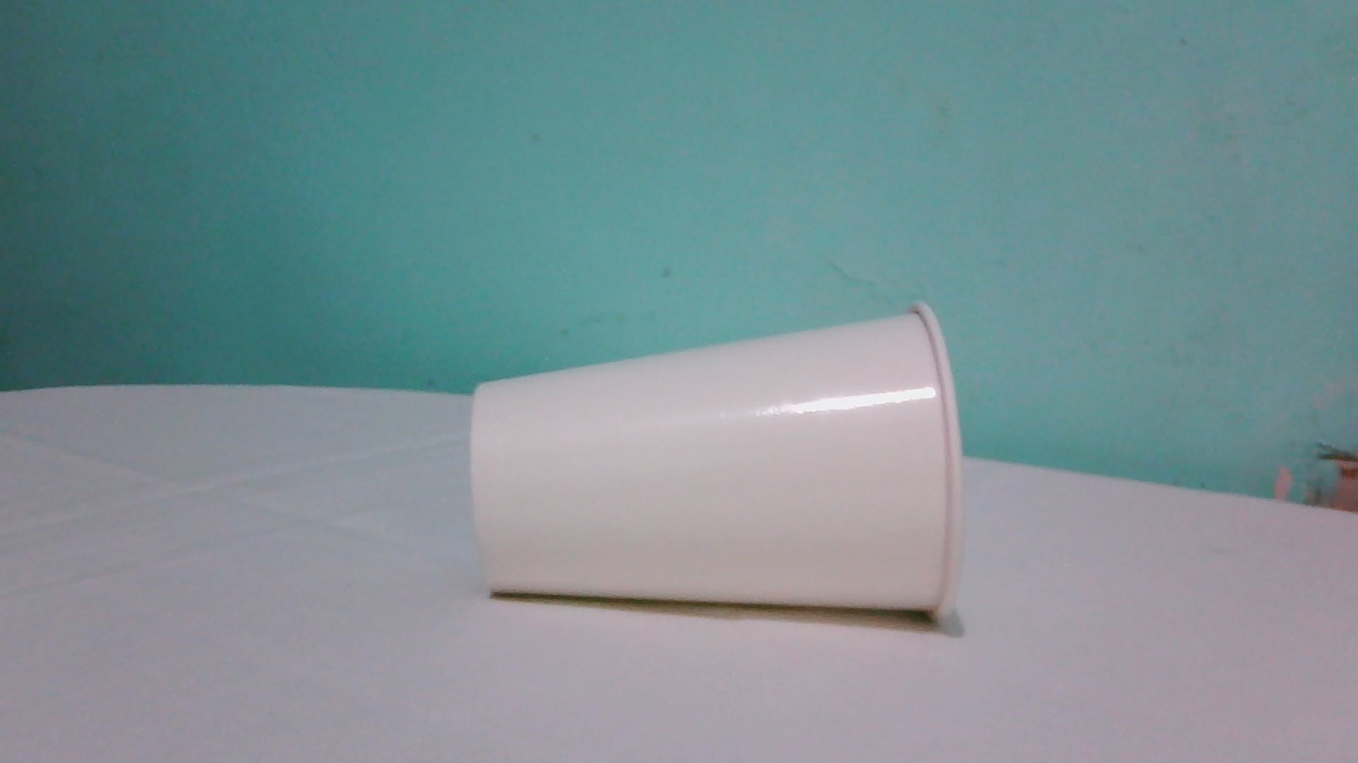 Paper and Plastic Cups Dataset Object Detection Dataset and Pre-Trained ...