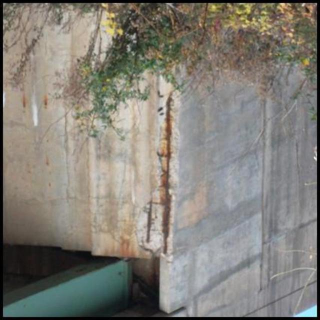 Rebar exposure Instance Segmentation Dataset by glass