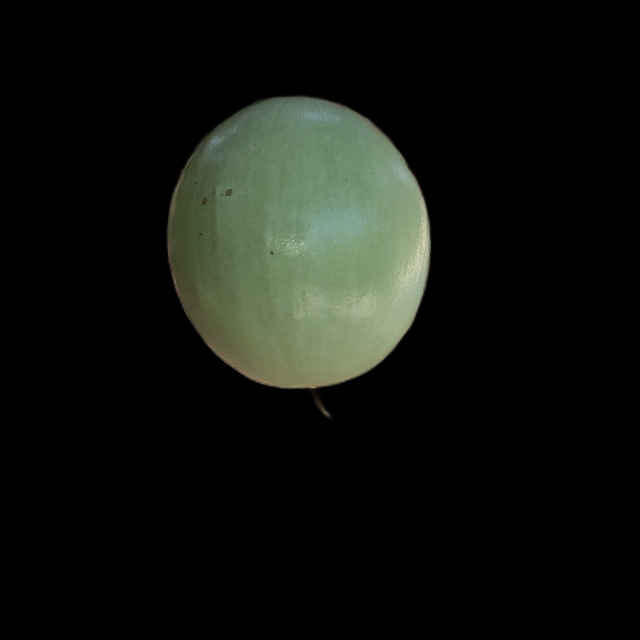 Project_vusua_good Classification Dataset by Project