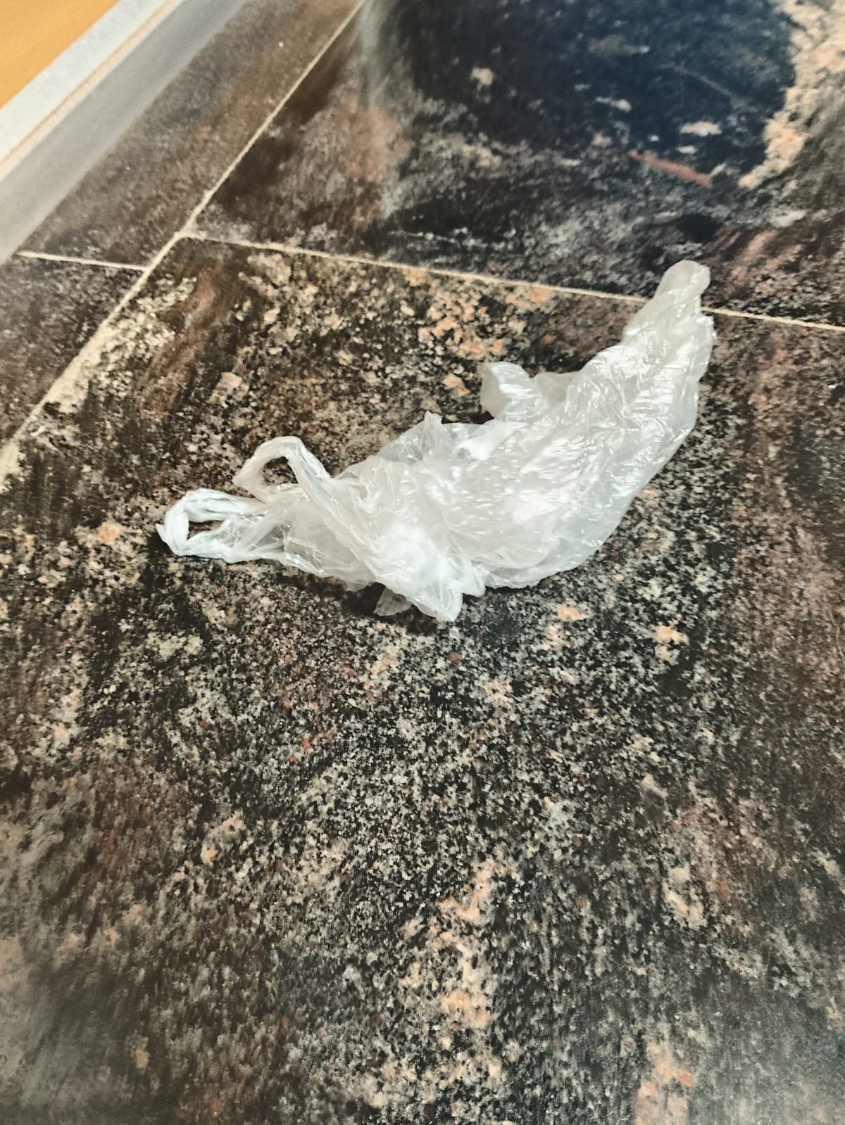 garbage Object Detection Dataset and Pre-Trained Model by garbage