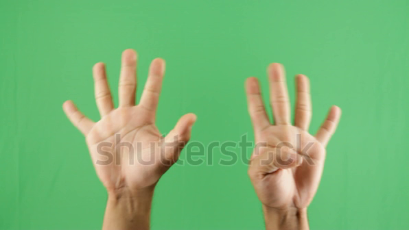 Hand Classification Dataset (v1, 2024-02-28 4:04am) by xxilu