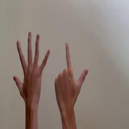 HandDetection Object Detection Dataset by xxilu