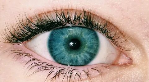 eye detection Instance Segmentation Dataset by Oguzhan Gunes