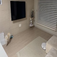 dog (dog-cy1dv) - Roboflow Universe