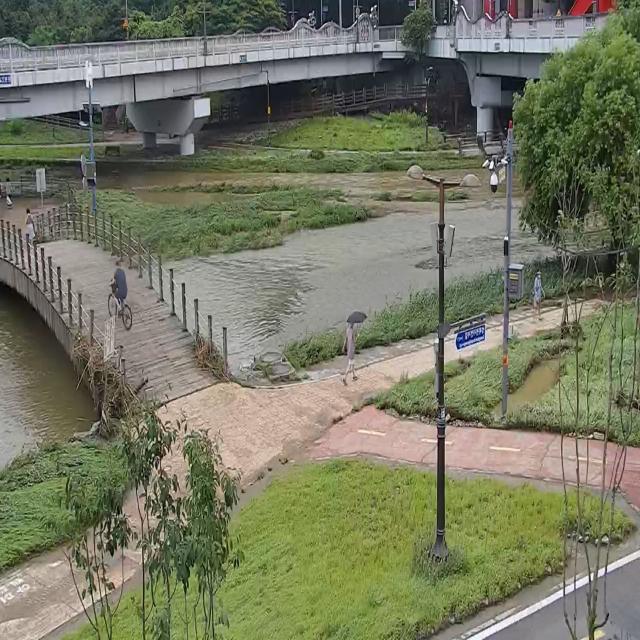 flood_final Object Detection Model by Raimi Nadirah