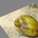 coconut final Object Detection Dataset and Pre-Trained Model by am605e
