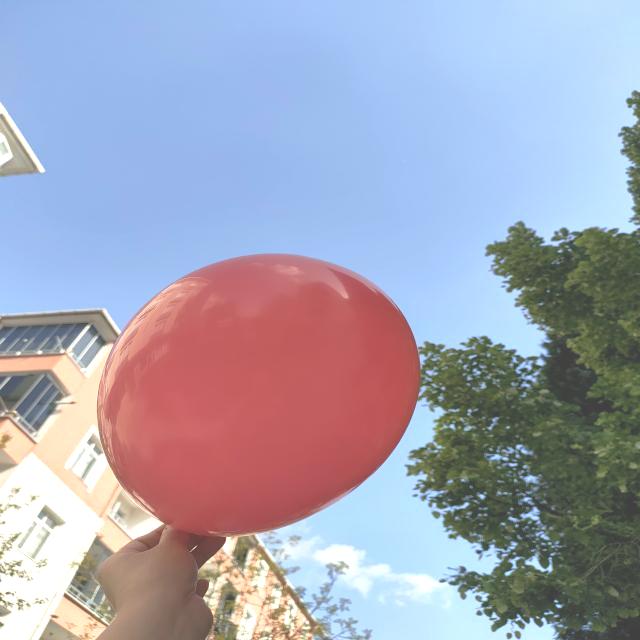 Balon Detect Object Detection Dataset and Pre-Trained Model by Balon