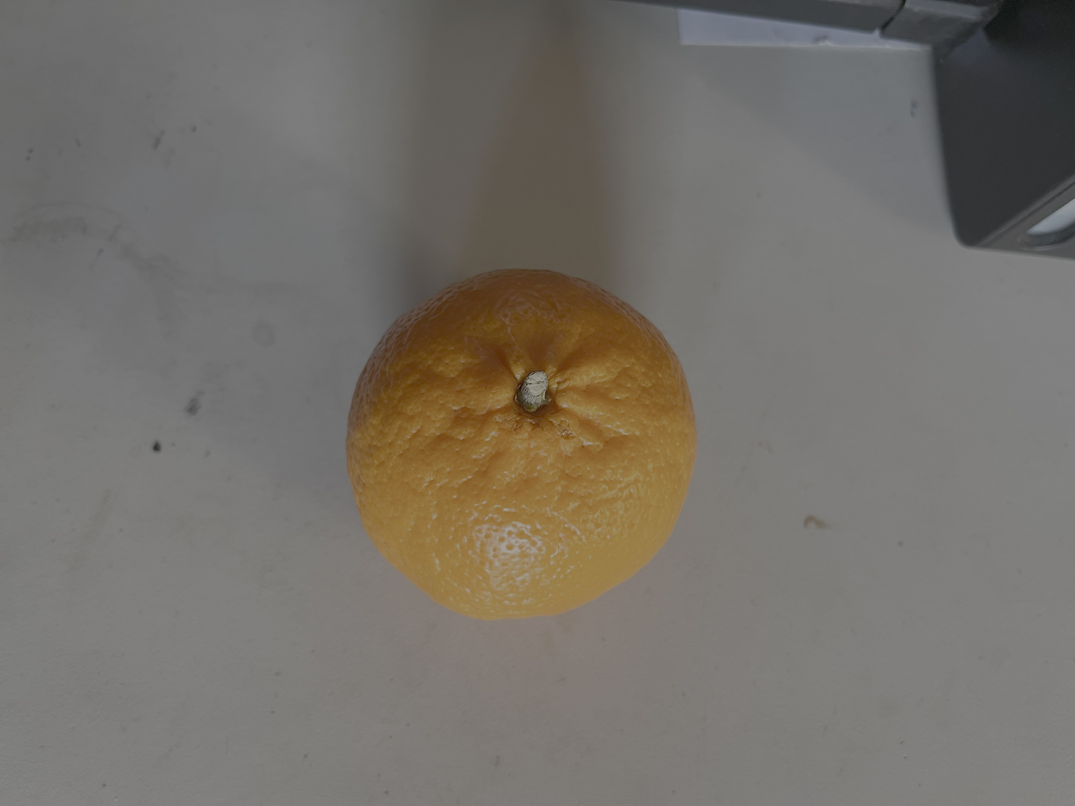 Abo Detection Object Detection Dataset And Pre Trained Model By Machine Problem 2