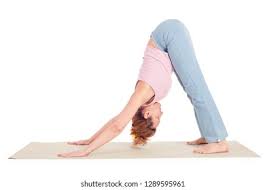 YOGA POSE Classification Model by YOGA POSE CLASSIFICATION
