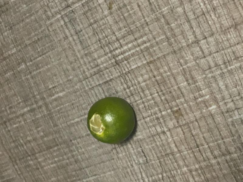 mlai Object Detection Dataset by aaronlea