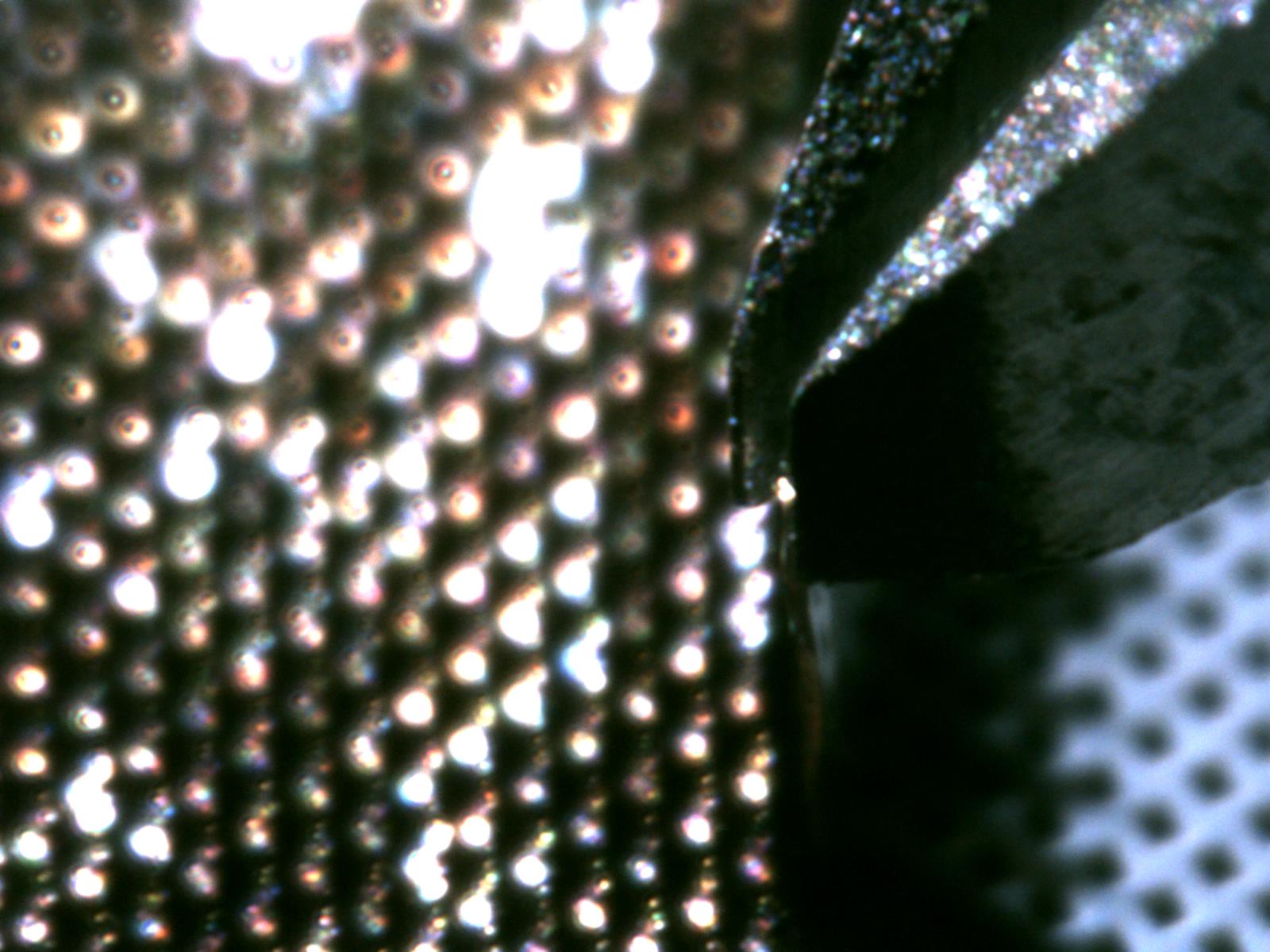 Paw_cls_III_valid Classification Dataset by Paw