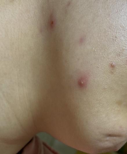 merge-01-05 Object Detection Dataset by TrainAI