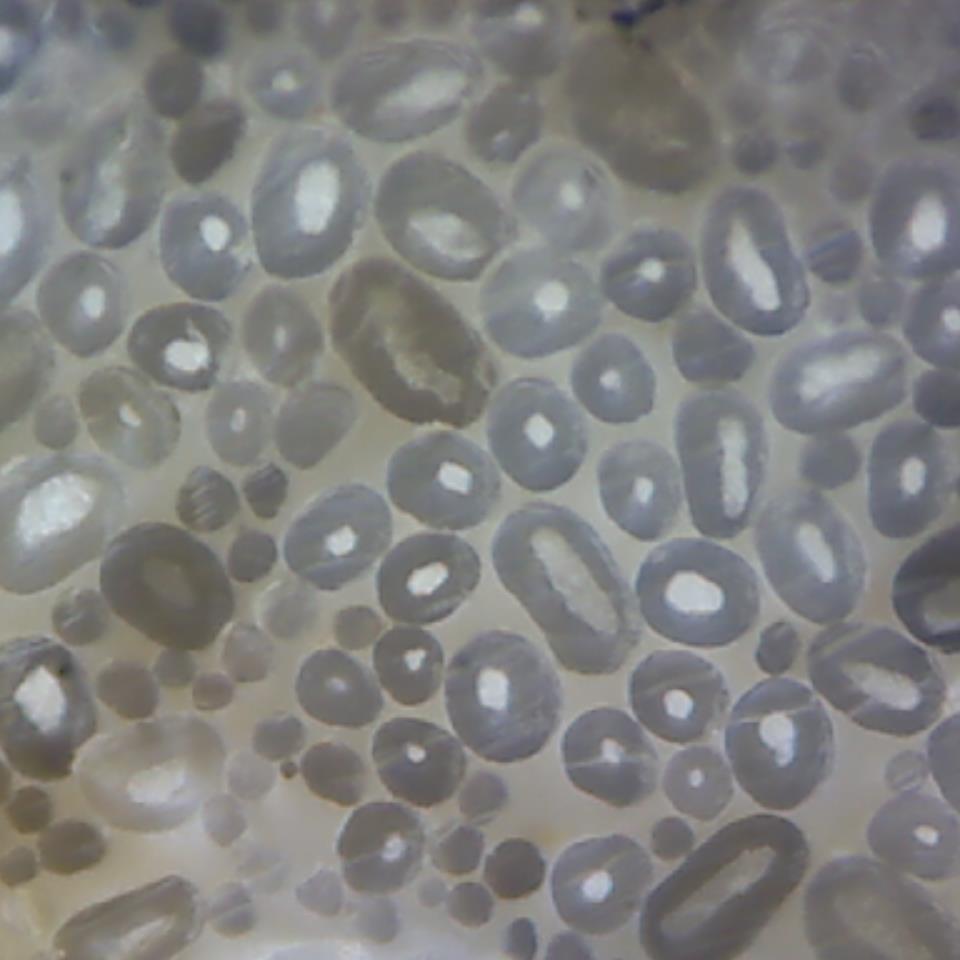 fibermult_v1_parte4_color Instance Segmentation Dataset by FiberMultv2parte4